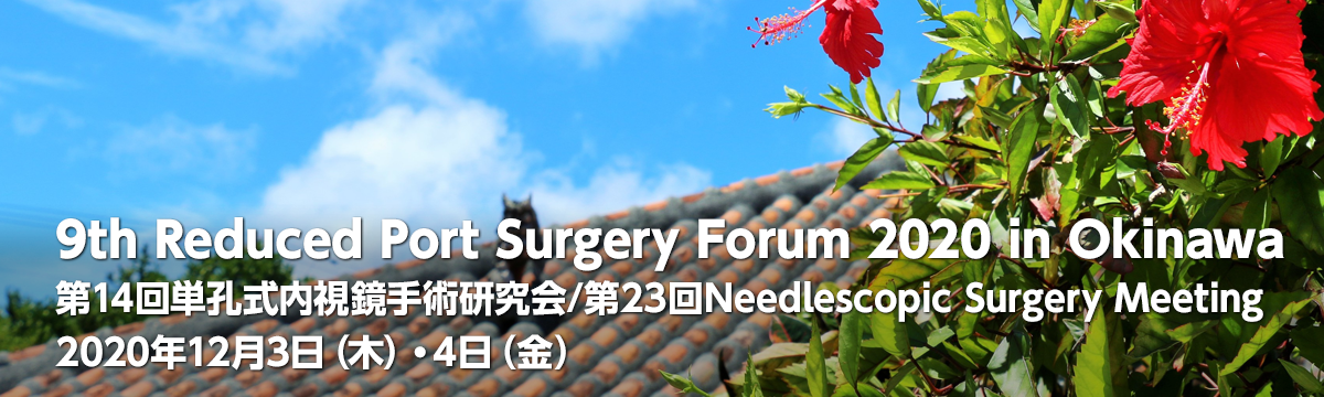 単孔式内視鏡手術研究会 【 単孔式内視鏡手術研究会の開催・運営委員会